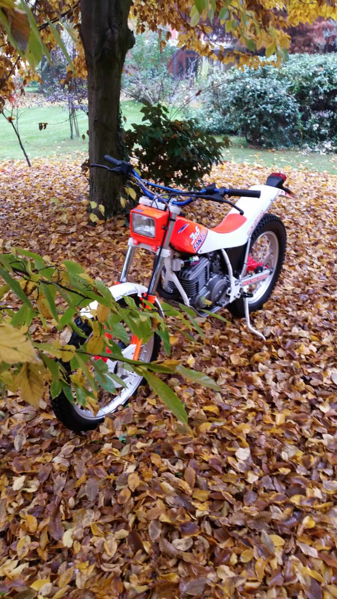 FANTIC MOTOR 305, 1990 | Agorauto